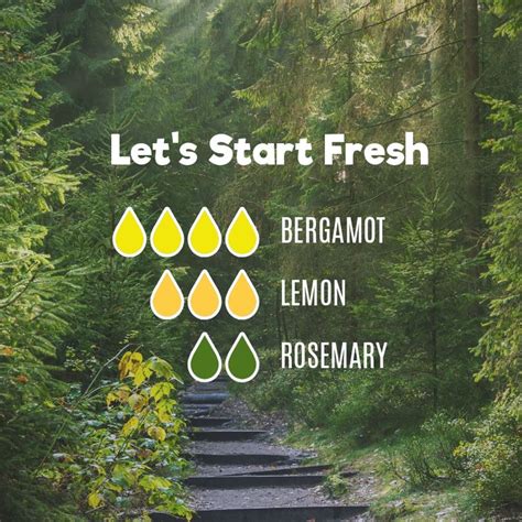 Pin On Essential Oil Diffuser Blends Recipes In 2024 Essential Oil Diffuser Blends Recipes