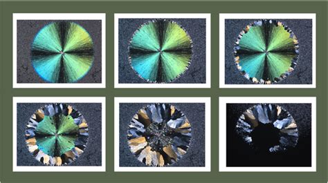 Thermomicroscopic Observation Of The Polymorphic Inversion Of