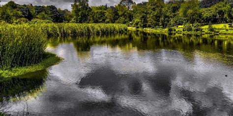 A Protective Circle Why Safeguarding Wetland Health Begins With