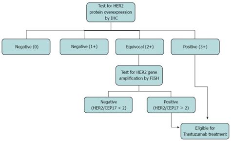 Her2 Testing In Gastric Cancer An Update Abstract Europe Pmc