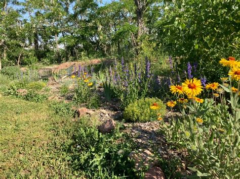 South Boulder Grass To Garden Ecosystem Waterwise Yards