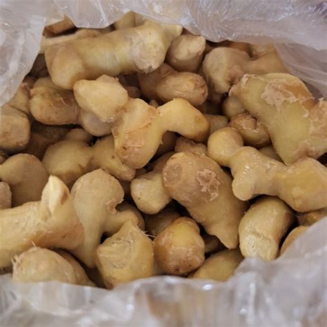 생강청 꿀 생강절임