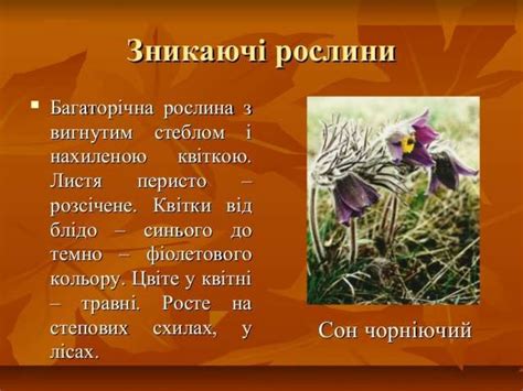 Тварини та рослини Червоної Книги України презентация онлайн