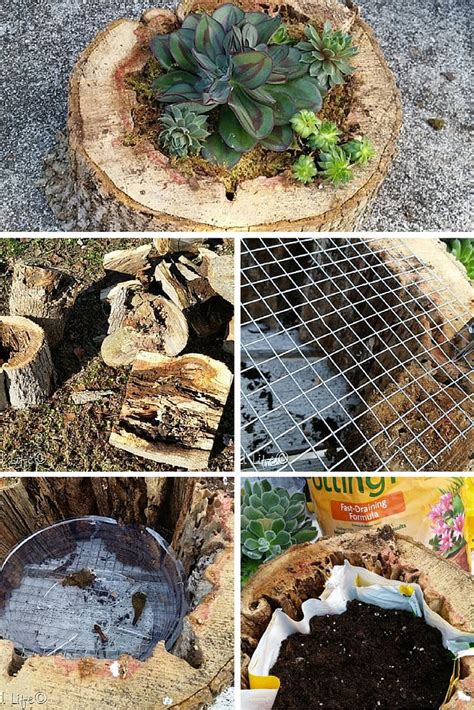 16 Inspiring DIY Tree Stump Projects For Rustic Decor