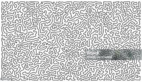 Continuous Line Abstract Squiggle Pattern Stock Illustration Download Image Now Maze Doodle