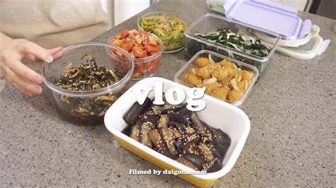 Vlog 요리에 재미붙인 주부의 집밥 요리 일주일 반찬 10가지 만들기 제육당근라페김밥 🌸4살 아들이랑 벚꽃나들이 기장 풀빌라펜션 Youtube