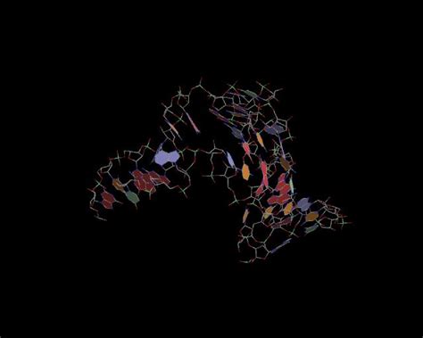 Rnajunction