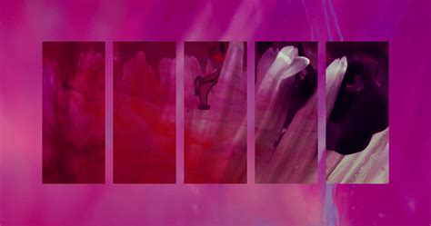 Lg X Fosters And Partners On Behance