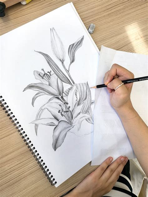연필 스케치 기초부터 정밀묘사 꽃그림까지 단계별 가이드 네이버 블로그