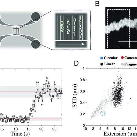 2 Dna Translocation Through Graphene Nanopores A Schematic Of A Download Scientific Diagram