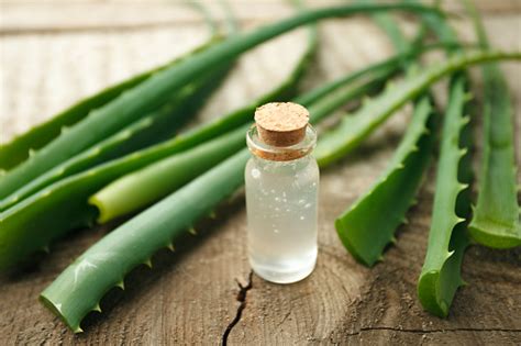 빈티지 나무 배경 의학 화장품 근접 촬영에 알로에 베라 에센셜 오일 0명에 대한 스톡 사진 및 기타 이미지 0명 건강관리와 의술 건강한 식생활 Istock