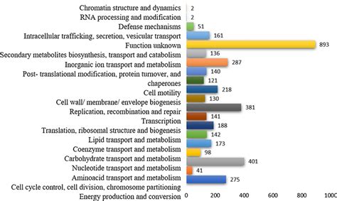 Cluster Of Orthologous Gene Cog Classification Using Eggnog