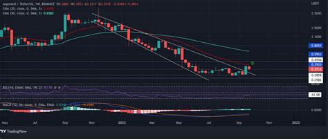 Algorand Price Prediction Will ALGOs Price Hit