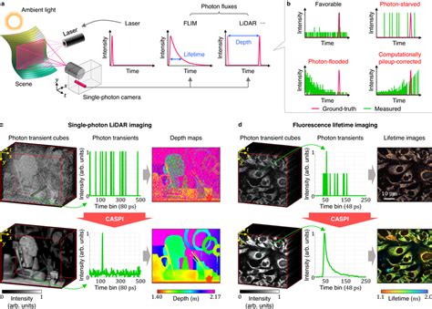 Caspi Is A Versatile Photon Data Processing Technique For Active