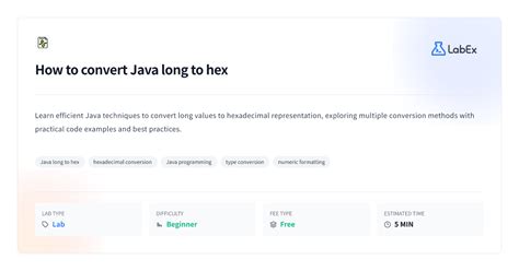How To Convert Java Long To Hex Labex
