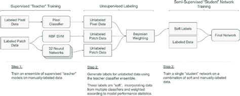 the semi supervised training process for the patch classification