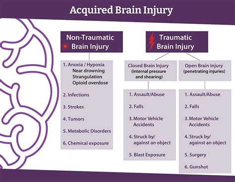 Acquired Brain Injury Abi The Facts A Guide To Understanding Brain