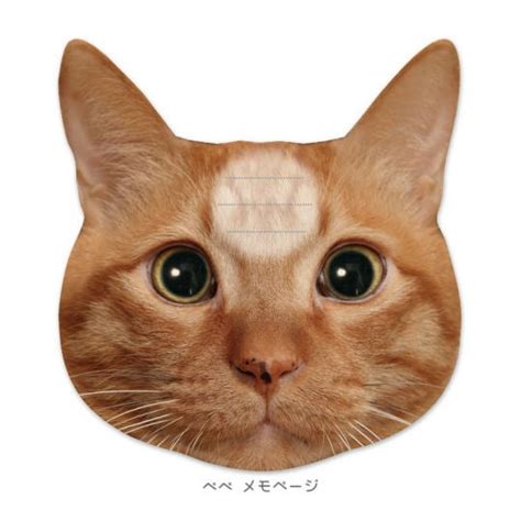 Cat Brow Sticky Notes Japan Trend Shop