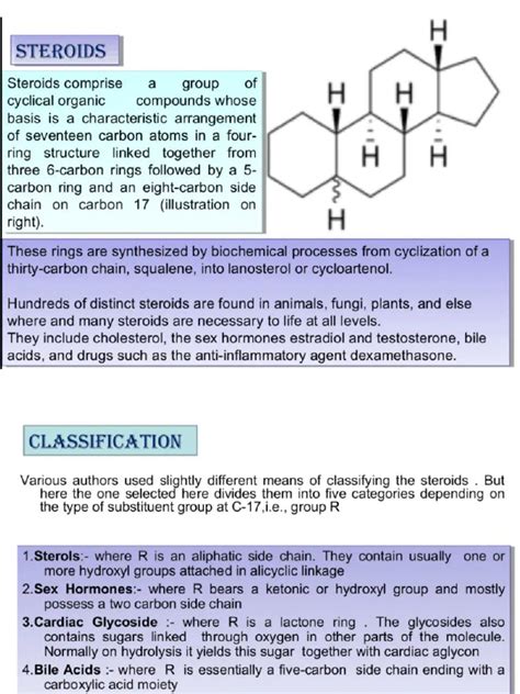Steroids Pdf