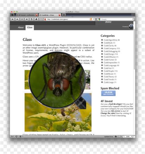 Glass Plugin Magnifying Glass Wordpress Plugin Clipart PikPng