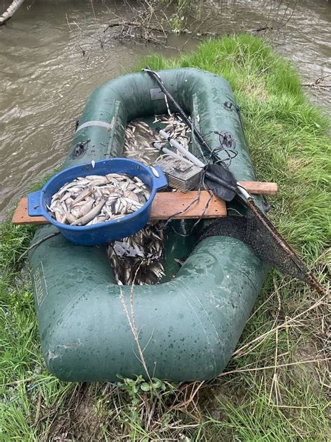 გარემოსდაცვითი გარემოს დაცვისა და სოფლის მეურნეობის სამინისტროს გარემოსდაცვითი ზედამხედველობის