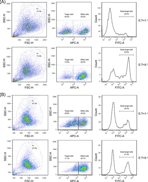 Representative Results Of The Flow Cytometric Method A Representative Download Scientific