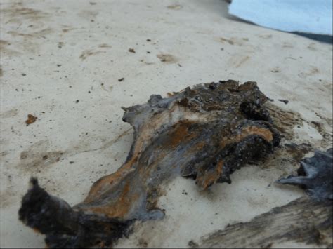 Grease With Lower Contamination White Black And Red Coloration