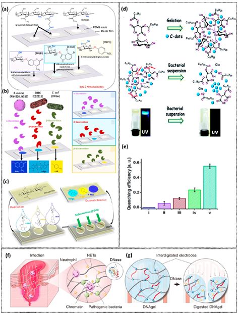 Reactance And Capacitance Sensing Platform For Detecting Microorganisms At Kevin Tejeda Blog