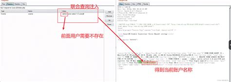 Okies注入10 Cookie注入 Csdn博客