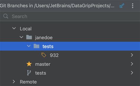 Manage Git Branches Datagrip Documentation
