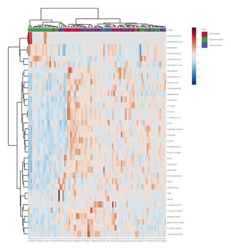 The Hierarchical Clustering Heatmap Of The Metabolites Download