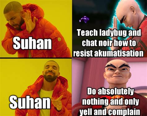 Typical Suhan Rmiraculousladybug
