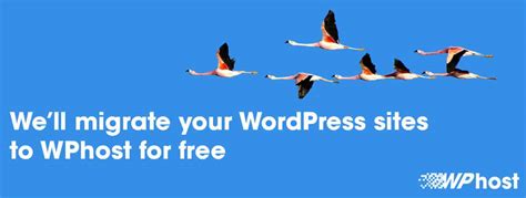 Free WordPress Migration We Ll Migrate Your WordPress Sites