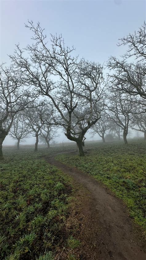 Stephen Mcdaniel Fotografía
