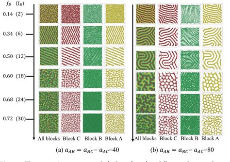 figure 1 from dissipative particle dynamics simulation for the self