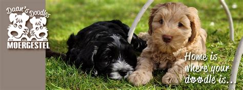 Doodlingvibes 2021 In A Nutshell Another Year Is About To End Time Flies In No Time It