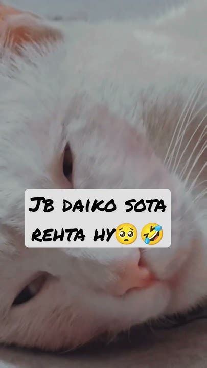 Rafia Awan Youtube
