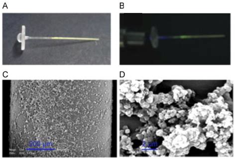 Optical Biosensors For Label Free Detection Of Small Molecules At