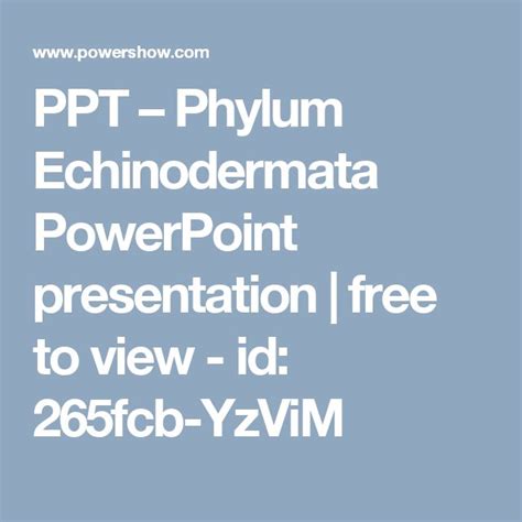 Ppt Phylum Echinodermata Powerpoint Presentation Free To View Id