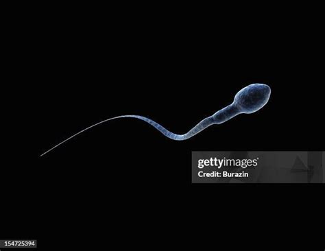 Sperm Photo Photos And Premium High Res Pictures Getty Images