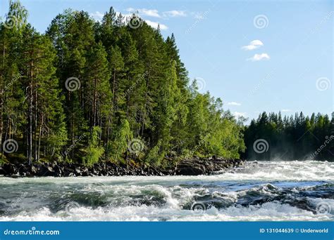 River In Forest In Sweden Scandinavia North Europe Stock Image Image