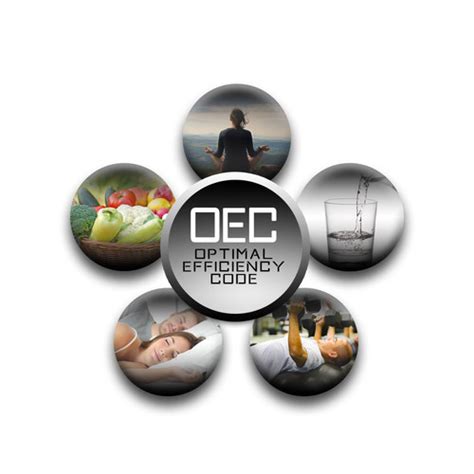 The Optimal Efficiency Code Workbook Getfitwithty