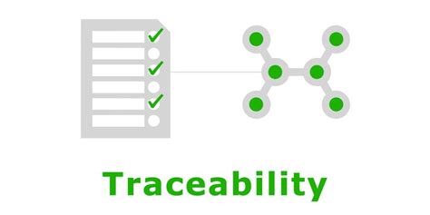 Exploring Types Of Traceability In Software Development Anastasiia