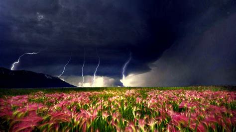 Rain Storm Wallpaper 60 Images