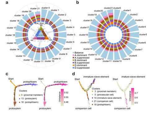 Genome Biology 华中农大鄢文豪团队绘制小麦单细胞图谱揭示亚基因组不对称表达规律 研究 调控