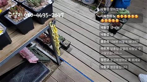 💝판매완료💝11월16일 이쁜다육 아가들 최대 70 할인판매 Youtube