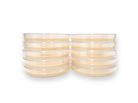 Clear Malt Extract Agar Plates 10 Pack Seismic Spore