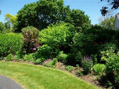 Current Issue 585 Magazine