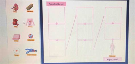 Solved Smallest Level S Largest Level Others