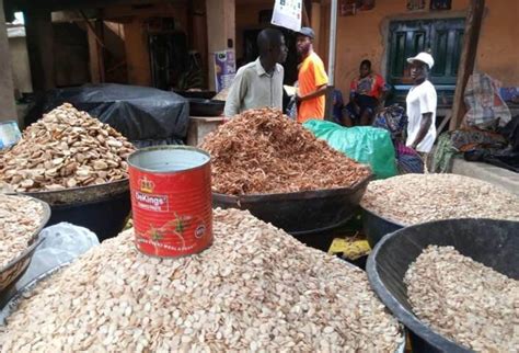 Melon Seedswhole Hand Peeled Egusi Seedsone Derica 850 Grams 085
